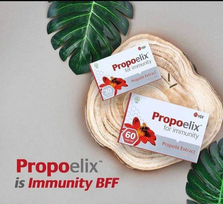 Propoelix for Immunity Ecer 10kaps Original 100% | Lazada Indonesia