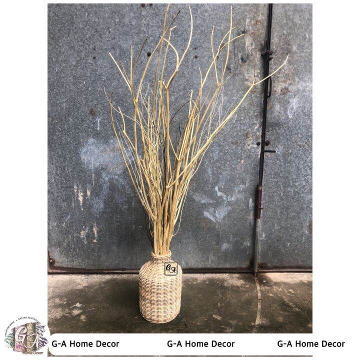 Big White Twig Branches - Natural Material | Lazada PH