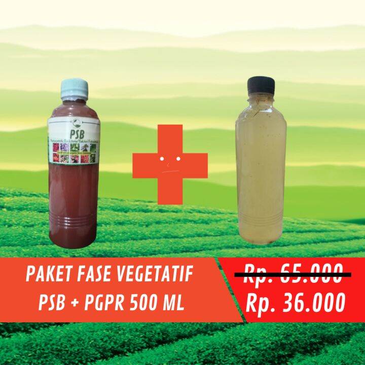 Pupuk Vegetatif komplit PSB + PGPR 500ML | Pupuk Organik Cair| Pupuk ...