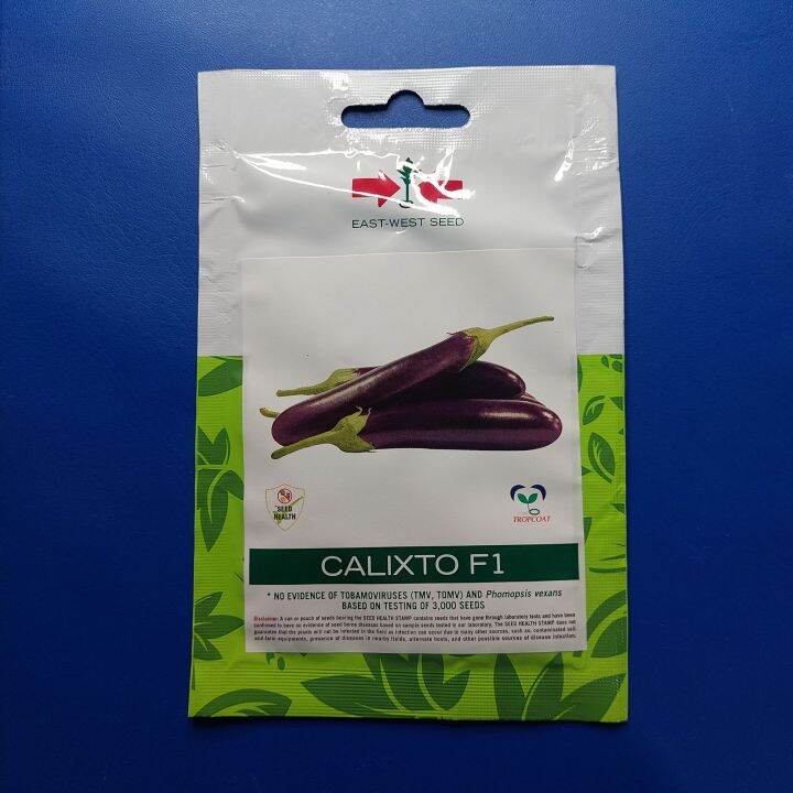 Calixto F1 (875 seeds) Hybrid Eggplant / Talong by East West Seed ...