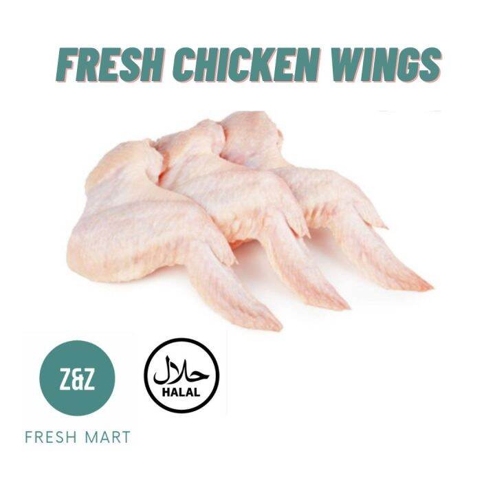 Fresh Chicken Wings / Ayam Kepak / Chicken Wings / Wings - HALAL (1kg ...