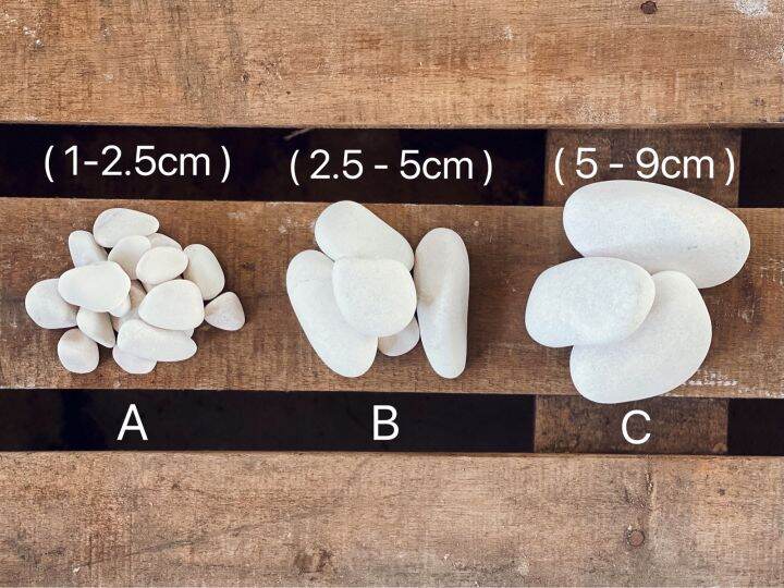 BATU PUTIH / WHITE STONE | Gardening Landscape Stones 白色石头 ( 2KG ) | Lazada