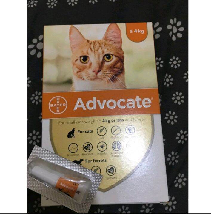 Advocate Cat 1 Tube - Obat Kutu - Cacing Kucing Up to 4Kg | Lazada Indonesia