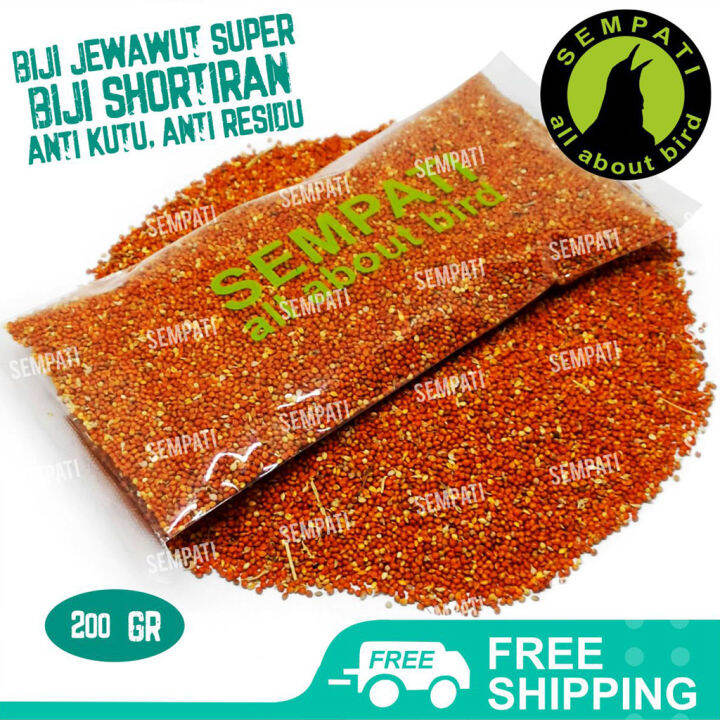 SEMPATI Biji Jewawut Jawawut Organik Pilihan Pakan Makanan Burung ...