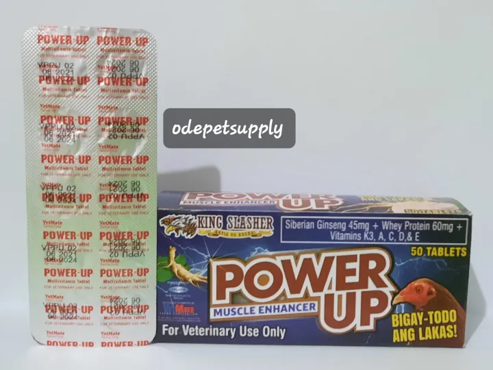 POWER UP SOLD BY 10 TABLETS | Lazada PH