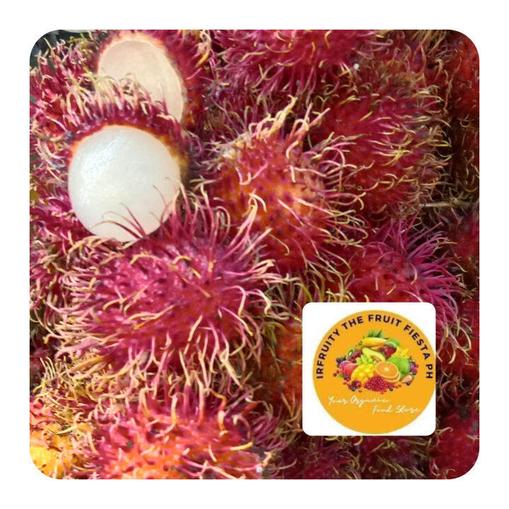 Fresh Rambutan RR Class A-260 kilo | Lazada PH