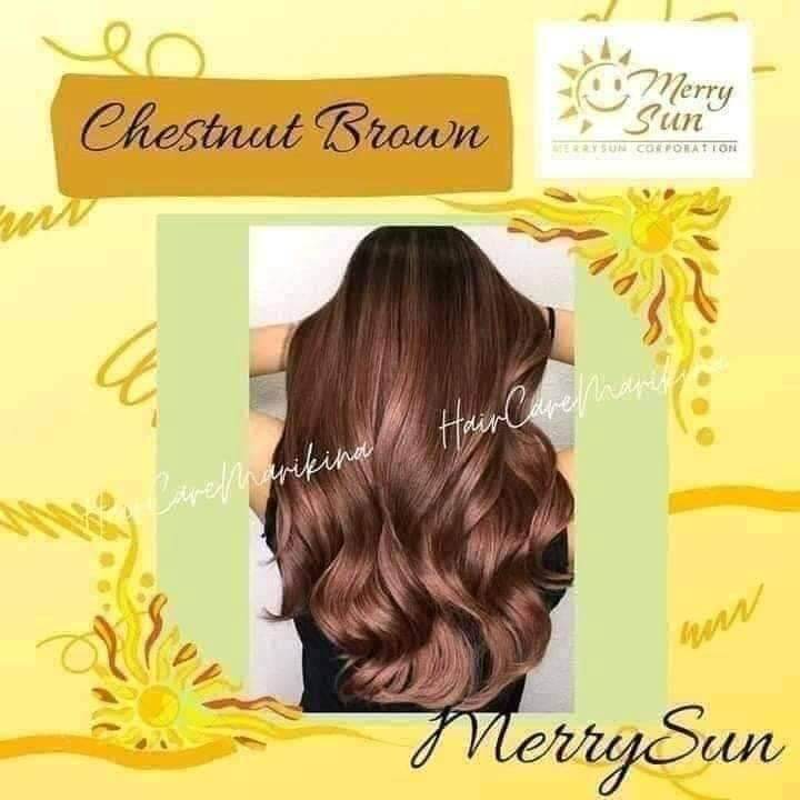 CHESNUT BROWN PERMANENT HAIR COLOR by Merry Sun | Lazada PH