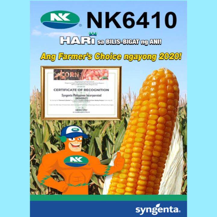 NK 6410 or NK 6414 Hybrid Yellow BT Corn | Lazada PH