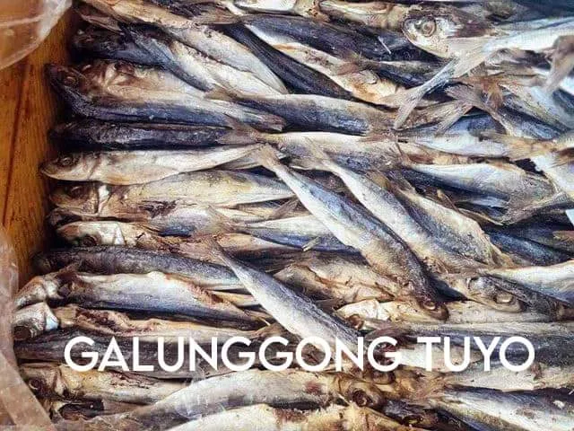 Dried Fish/Galunggong Tuyo 1 kg | Lazada PH