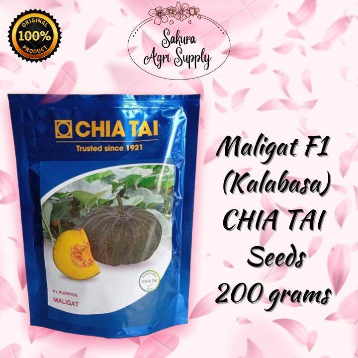 MALIGAT F1 CHIA TAI SEED HYBRID PUMPKIN SQUASH KALABASA VEGETABLE SEEDS ...