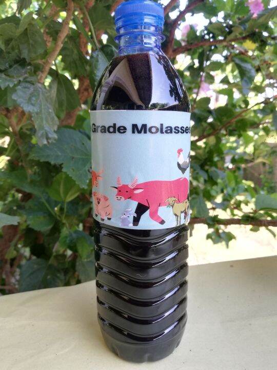 Molasses Pure Grade 500ml | Lazada PH