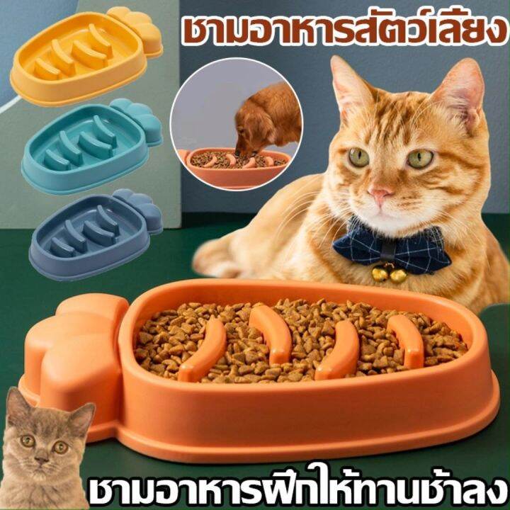 【Dargly】ชามอาหารสัตว์เลี้ยง ชามกินช้า ชามอาหารฝึกให้ทานช้าลง ชามช่วยลดการสำลัก สุนัขและแมว ชะลอ ...