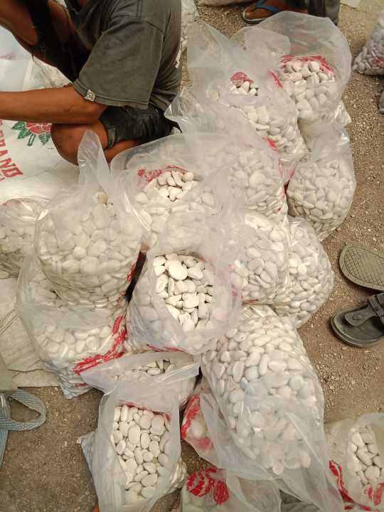 batu putih | Lazada Indonesia