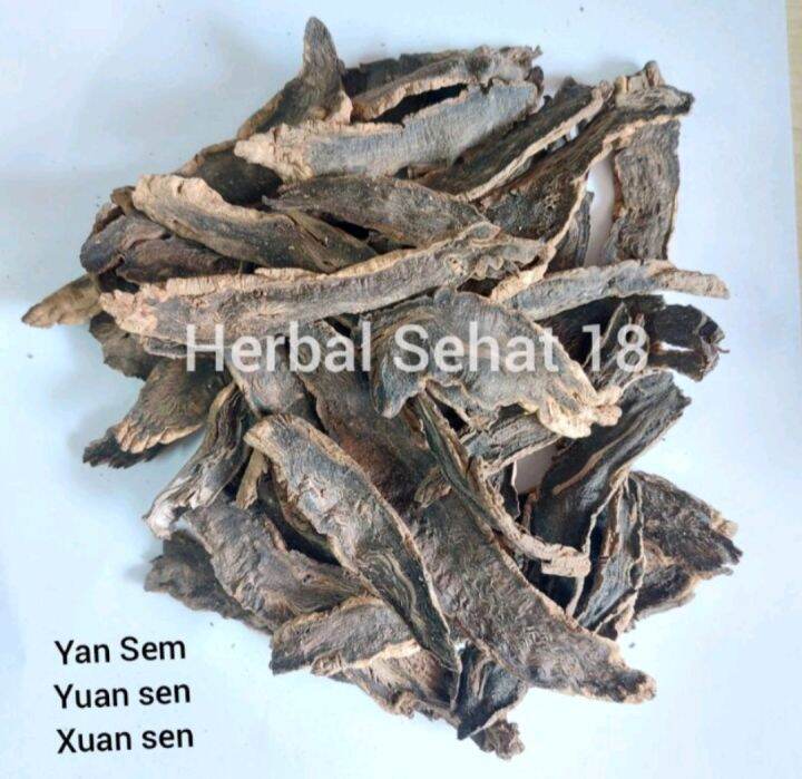 Xuan Shen 100Gram Yuan Sem 玄参/元參 yuan shen / yen sem / yuan sen / yen ...