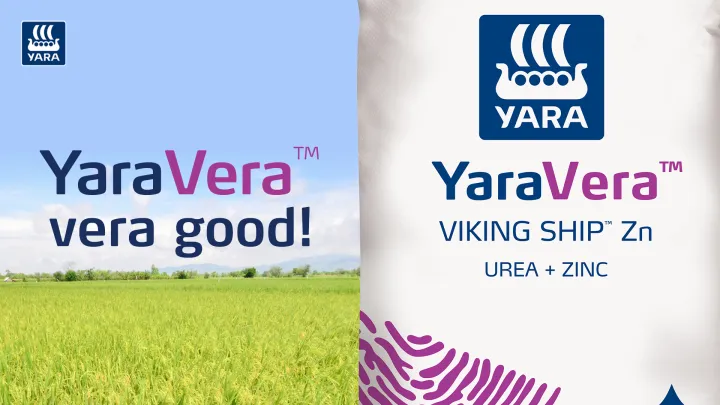 YaraVera Viking Ship Zn 1kg only | Lazada PH