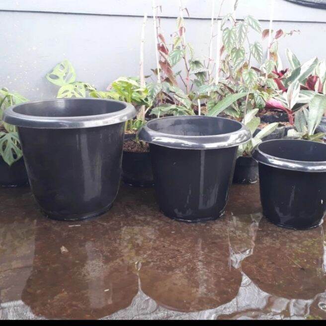 pot 30 palem globalion,pot tinggi,pot tanaman daun,pot model baru ...
