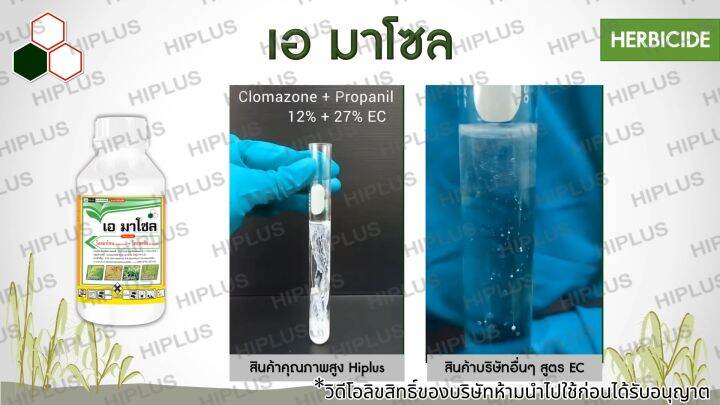 เอ-มาโซล (A-mazole) ขนาด1,000ซีซี สารป้องกันและกำจัดวัชพืช | Lazada.co.th