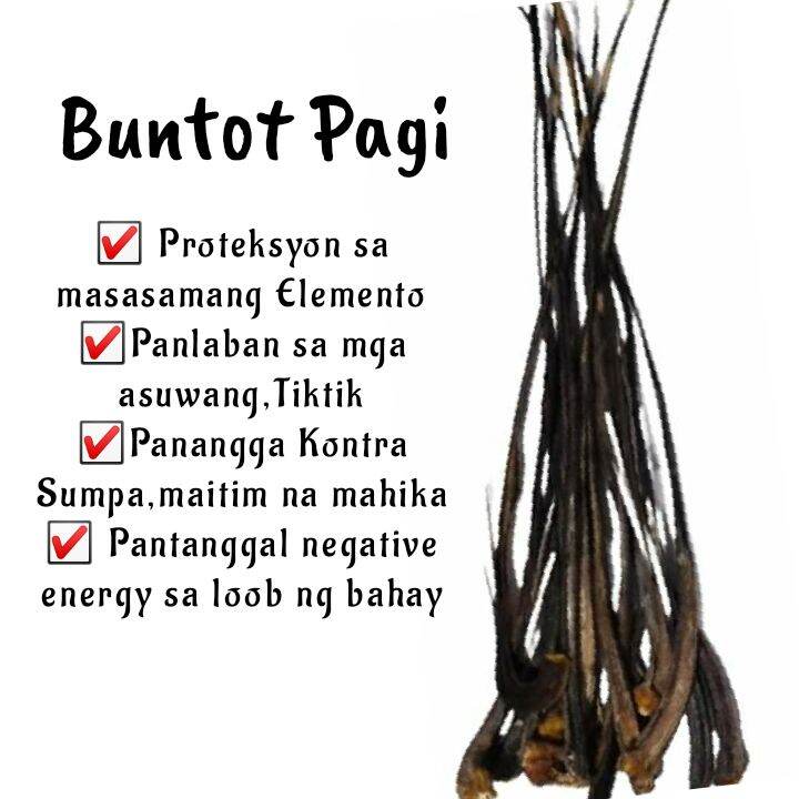 Buntot Pagi (11 to 16 inch)Mabisang Proteksyon sa loob ng bahay | Lazada PH