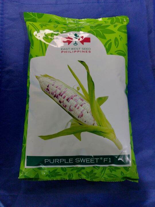 Purple Sweet F1 (1 kilo) Hybrid Waxy Corn / Mais by East West Seed ...