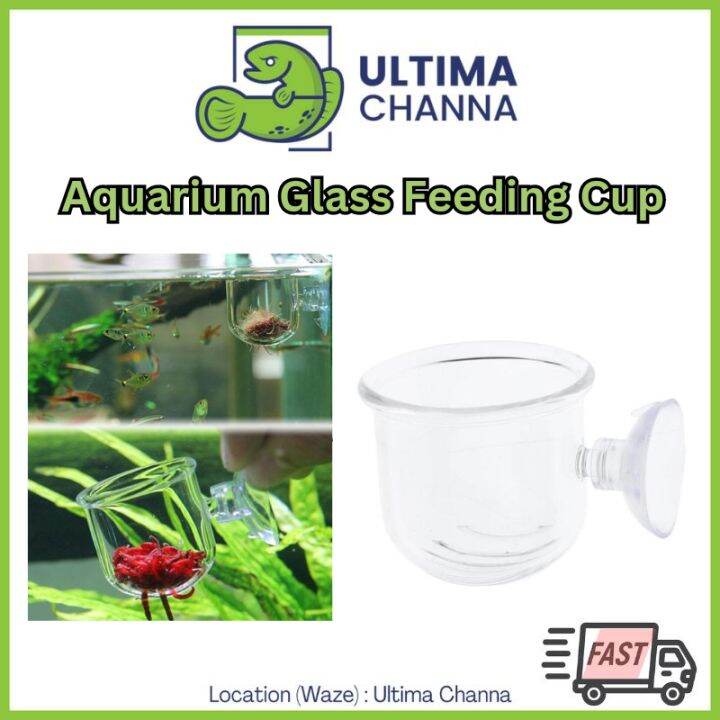 Glass Feeding Cup/ Bloodworm Cup/ Fish Feeder Basket/ Aquarium Red Worm ...