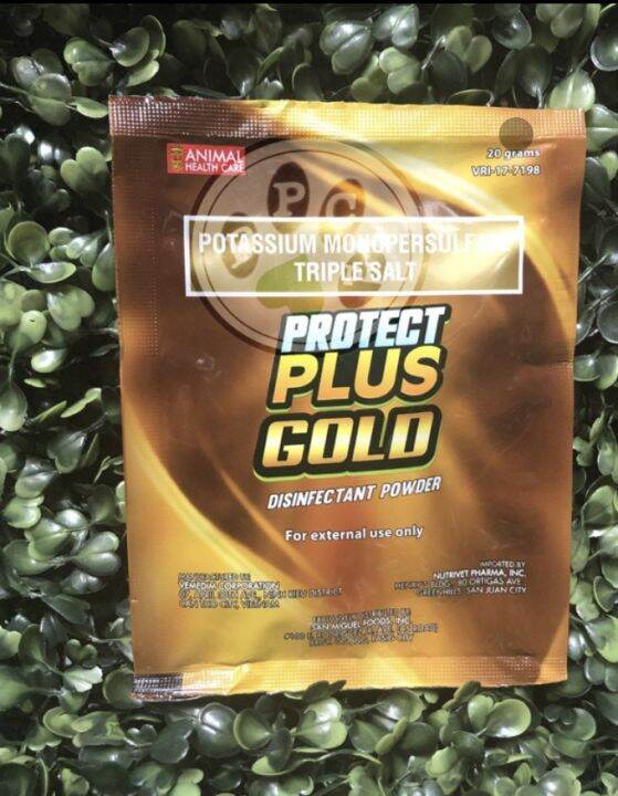 Protect Plus Gold Sachet 20g | Lazada PH