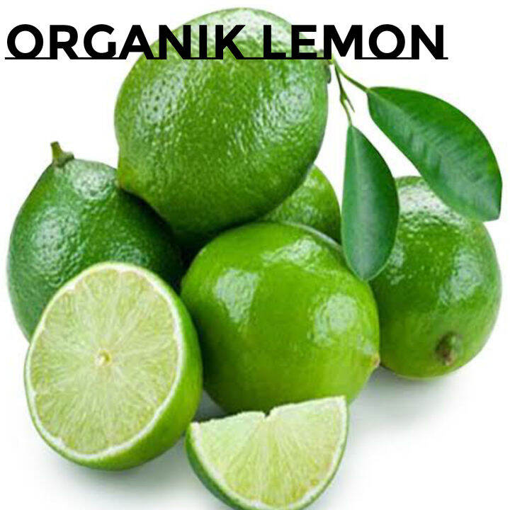 1KG ORGANIK BUAH LEMON SEGAR SEHAT HERBAL | Lazada Indonesia