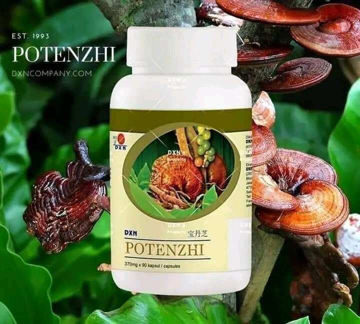 DXN POTENZHI-30 | Lazada