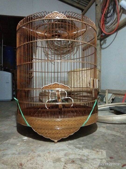 sangkar murai batu berbagai model dan ukuran | Lazada Indonesia