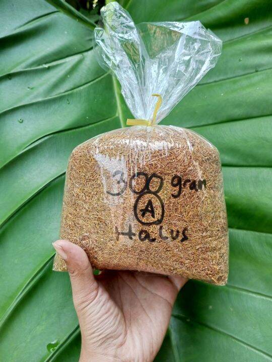 daun talas beneng 300 gr | Lazada Indonesia