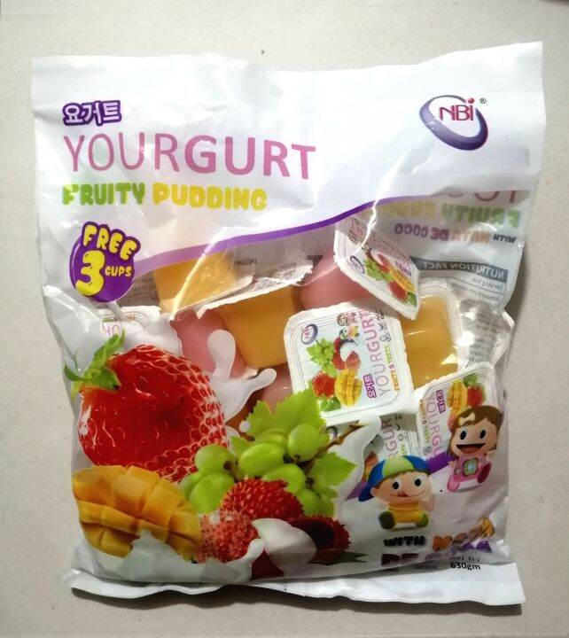 Nibou Yourgurt Fruity Pudding with Nata De Coco 630g | Lazada PH