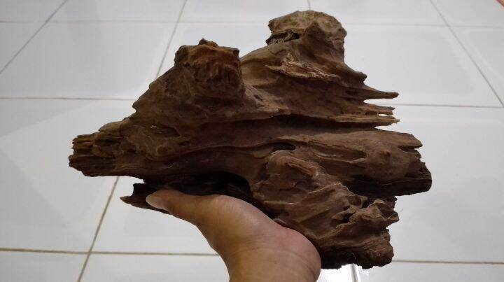 Kayu Rentek, Akar Kayu Rawa Akuarium, Aquascape | Lazada Indonesia