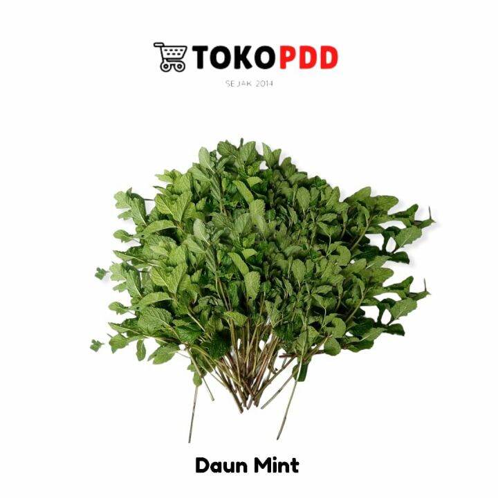 Daun Mint Segar Peppermint Fresh 1 Kg | Lazada Indonesia