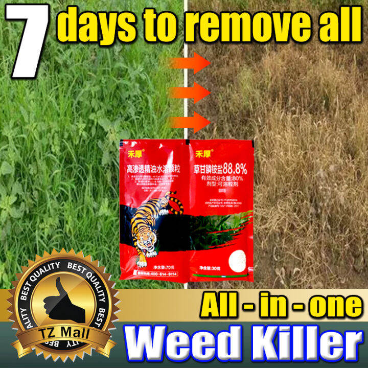 ☣remove grass in 7 days👍TZ Herbicide for grass and weeds Grass killer ...