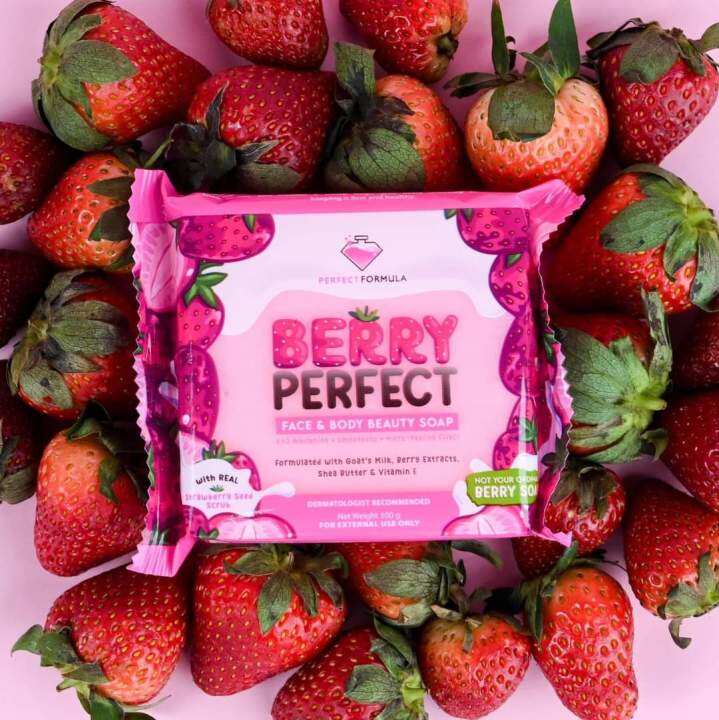 Perfect Formula Berry Perfect Soap | Lazada PH