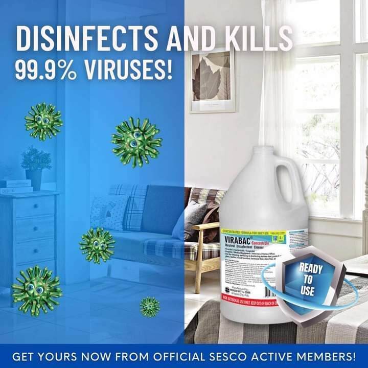 Virabac Ready to Use Disinfectant Cleaner | Lazada PH