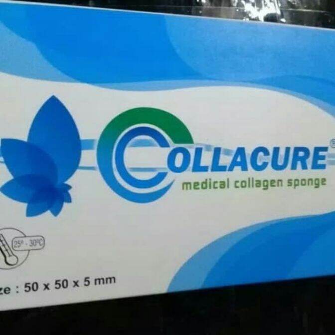 collacure medical collagen sponge 50x50x5mm original | Lazada Indonesia