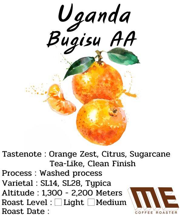 เมล็ดกาแฟ Uganda Bugisu AA Washed Process | Lazada.co.th