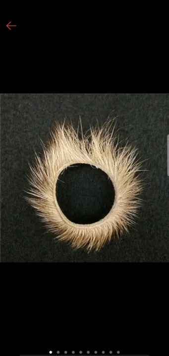 Pilik mata ng kambing 100%ORIGINAL | Lazada PH