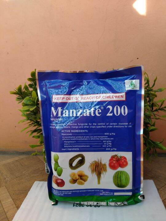 Manzate 200 Fungicide 100gms | Lazada PH