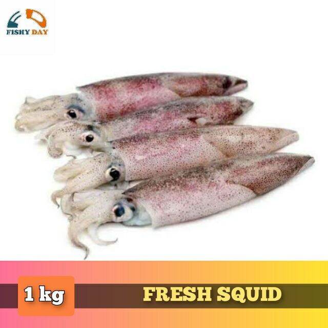 FRESH SEAFOOD PUSIT 1KG | Lazada PH