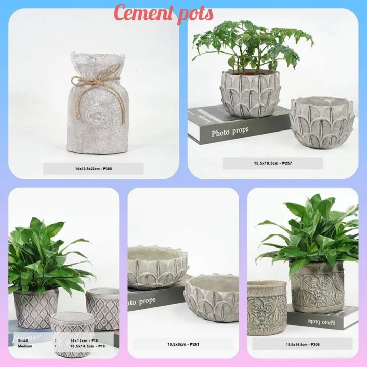 Cement Pots (lotus) | Lazada PH