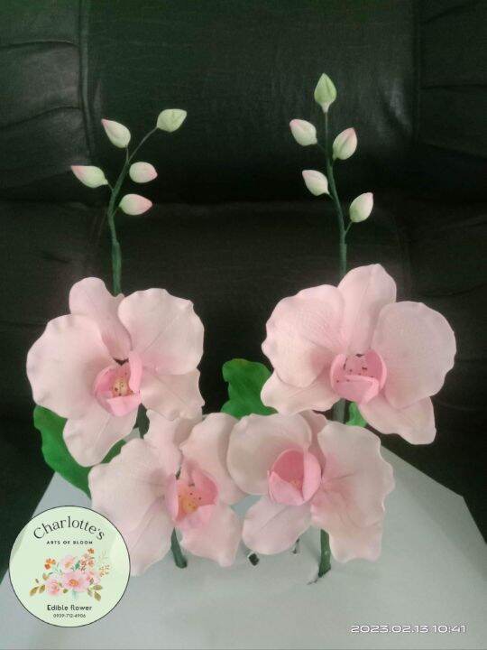 Edible Moth Orchids/Phalaenopsis For Cake Decorations | Lazada PH