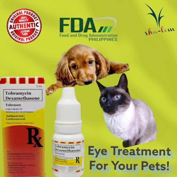 TOBRASON LIQUID EYE DROPS FOR PETS | Lazada PH