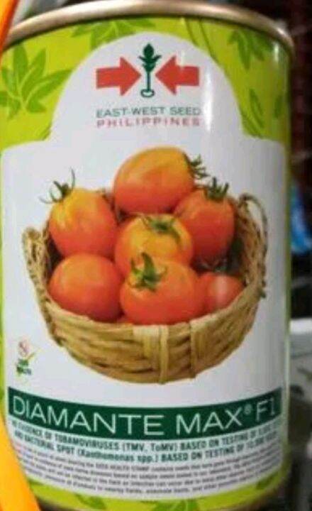 DIAMANTE MAX F1 HYBRID TOMATO SEEDS (8250 SEEDS) BY EAST WEST SEEDS ...