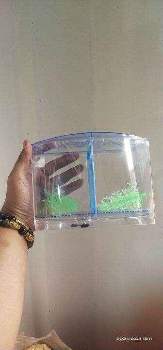 Betta House Double | Lazada PH