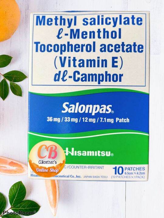 Salonpas 10 Pieces | Lazada PH
