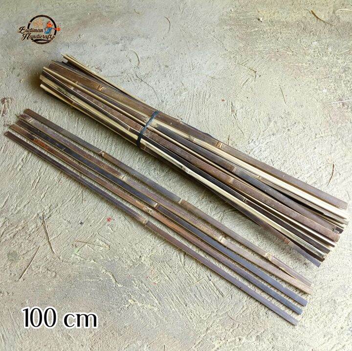 Batang Bilah Bambu Hitam Untuk Media Tanam uk 100cm (isi 10 Bilah Bambu ...