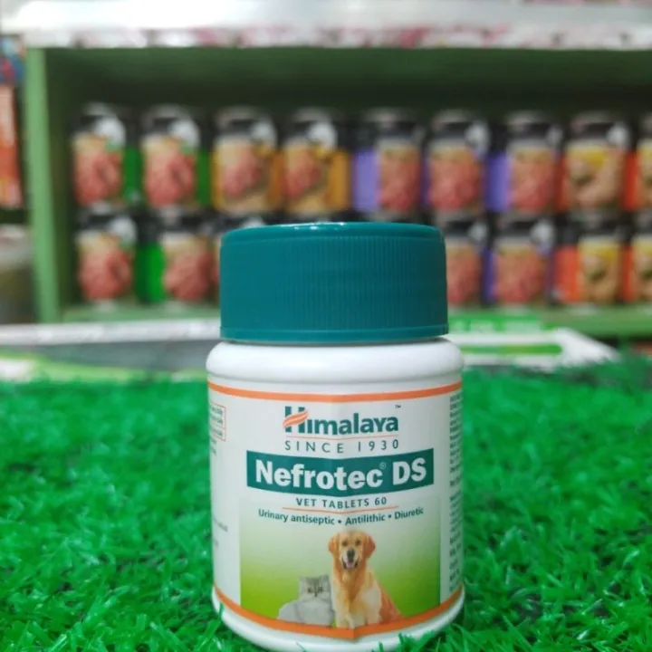 Himalaya Nefrotec Ds.(60Tabs) | Lazada PH