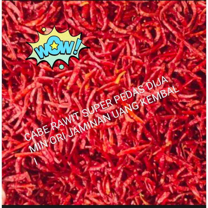 cabe seblak pedes 1 kg packing kwalitas super tanpa tangkai | Lazada ...