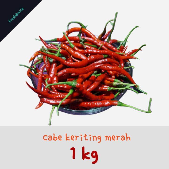 Cabe Keriting Merah 1 kg | Lazada Indonesia